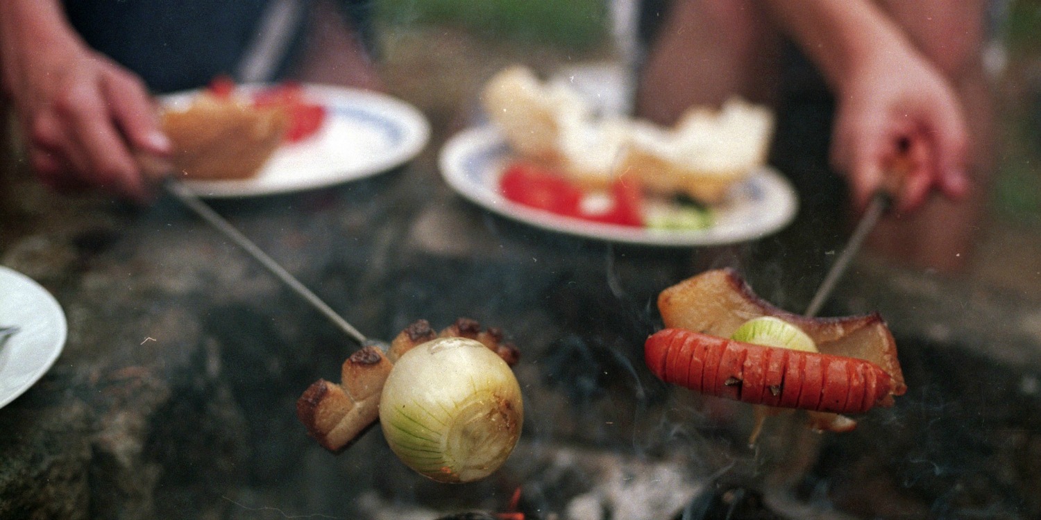 AFF-Grand Rapids: Picnic at the Park - America's Future