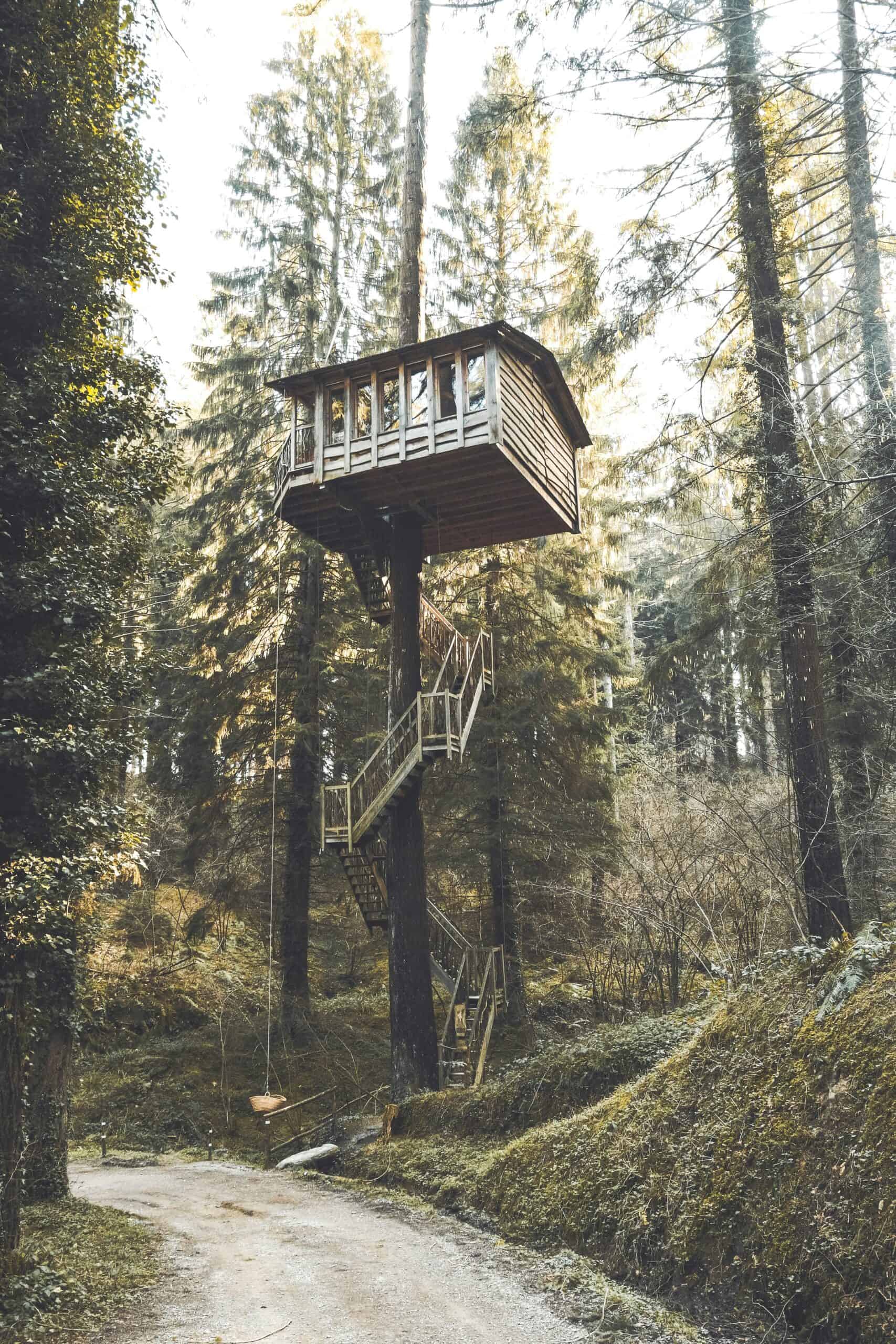 What The Real-Life Simpson’s Treehouse Is Teaching Us About Building ...